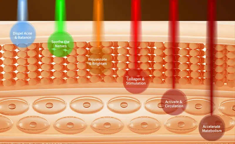 SGROW Infrared 660nm 850nm Machine Led Light Therapy Panel-SGROW